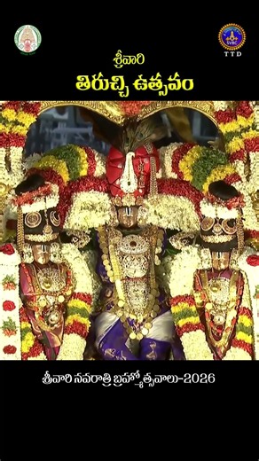 శ్రీవారి తిరుచ్చి ఉత్సవం -శ్రీవారి నవరాత్రి బ్రహ్మోత్సవాలు-2026 || SVBC TTD