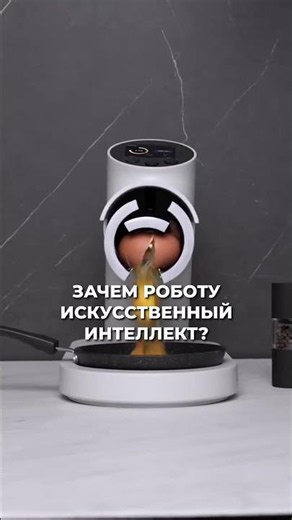 Did you order an Egor robot?