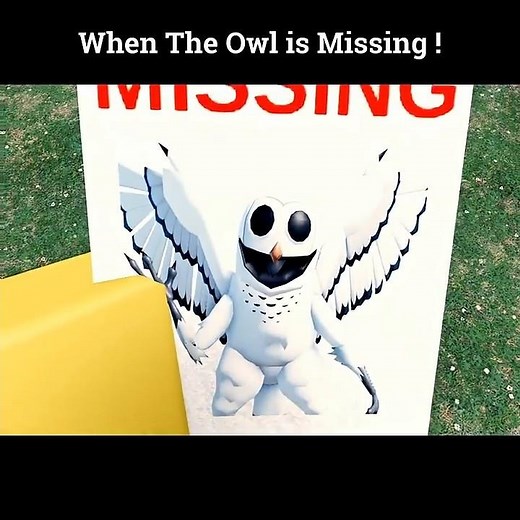 When The Owl Is Missing in Roblox 99 Night In The Forest..
