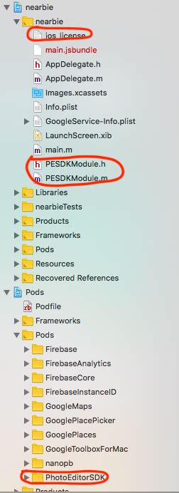 ios getting photoeditorsdk photoeditorsdk h file not