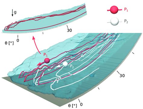 46 Qualitative Representation Of The Particle Trajectories The