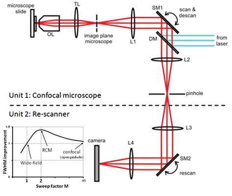 Super‐resolution Confocal Microscopy Through Pixel Reassignment