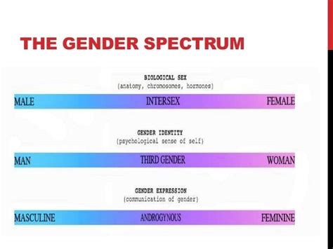 Gender Pp