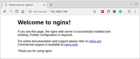 install nginx with server blocks virtual hosts on debian