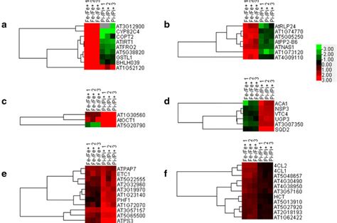 Hierarchical Cluster Analysis Of 137 Overlapping Genes With Greater