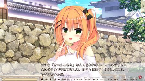 やみきゅん ハミクリ凸プレイ中 On Twitter 効果は抜群だ！ きゅんの萌えゲー