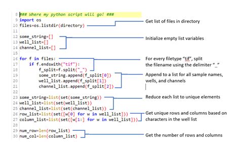 an introduction to jython coding using python with imagej visikol