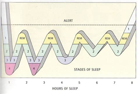 Managing Sleep Your Nudge