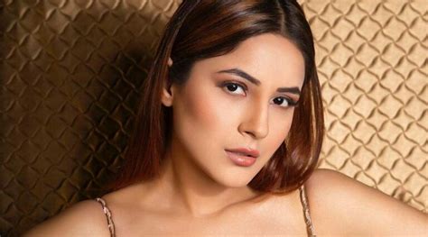 Shehnaaz Gill Est Magnifique Dans Un Saree Blanc Embelli Aux Filmfare