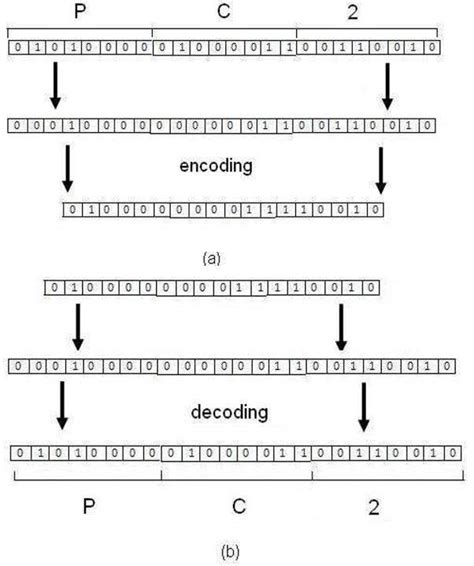 a encoding and b decoding processes download scientific diagram