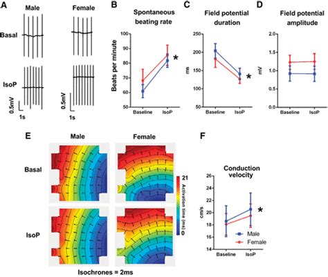 cardiomyocyte functional screening interrogating comparative