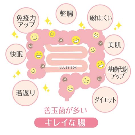 腸内環境が良く無ければ・・・ 脳脊髄液減少 漏出 症と一緒に向き合う