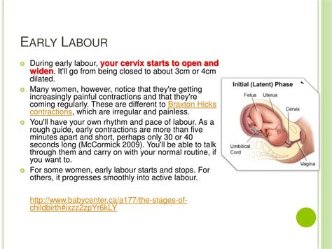 Ppt Stages Of Labour And Delivery Powerpoint Presentation Free
