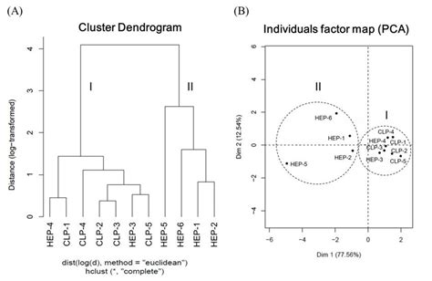 a dendrogram of hierarchical cluster analysis and b score plot of