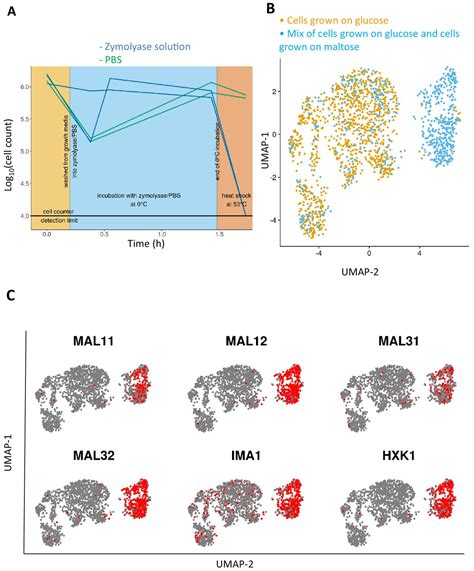 Figures And Data In A New Protocol For Single Cell Rna Seq Reveals