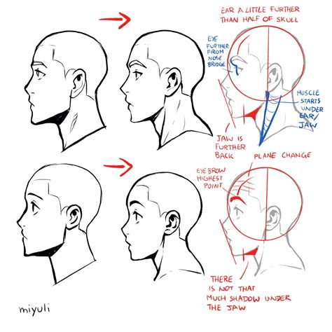 Side Profile Male Drawing