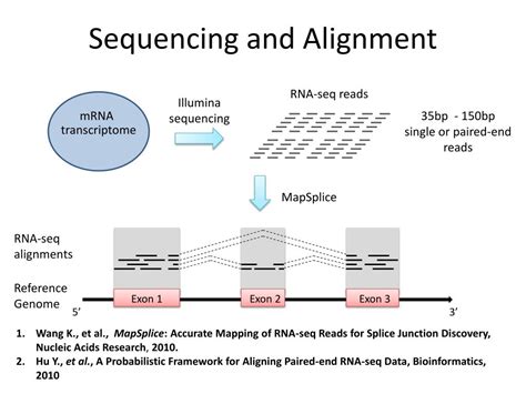 Ppt Rnaseq Powerpoint Presentation Free Download Id 1878836