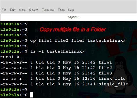 cp command in linux with options and example taste the linux