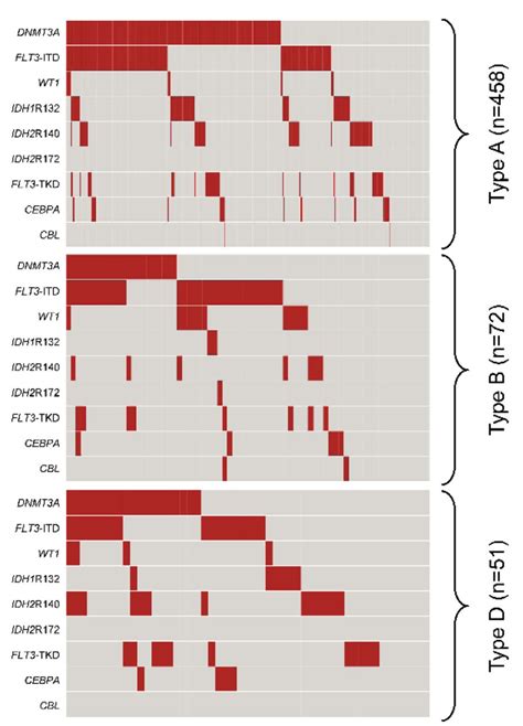 Molecular Subtypes Of Npm1 Mutations Have Different Clinical Profiles