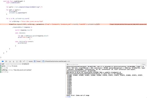 array index out of range