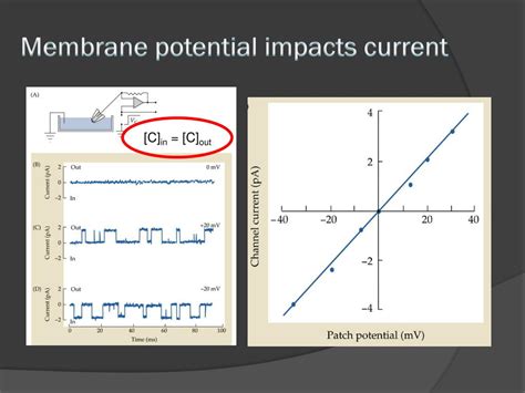 Ppt Ion Conductance And Patch Clamp Methods Part 2 Powerpoint