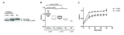 fxii levels and activation of the plasma contact system a western
