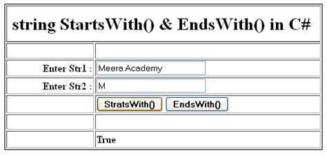 stratswith1 meera academy