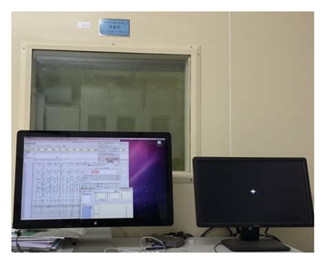 Experiment Setup Of Real Time Recording Of Eeg Signals During