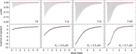 Itc Analysis Of Dna Binding Affinity Isothermal Titration Calorimetry
