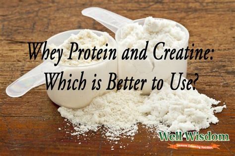 Whey Protein And Creatine Which Is Better To Use