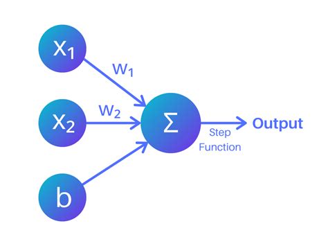 understanding neural networks the secret lies in our brains