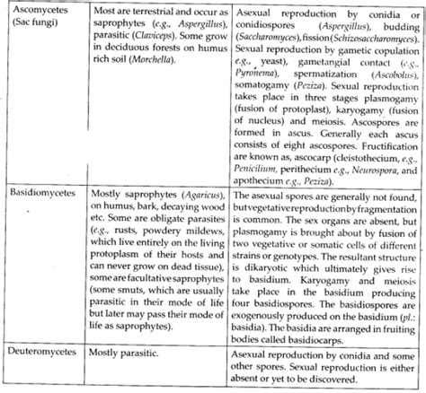 Ncert Solutions For Class 11 Biology Biological Classification Ncertguess
