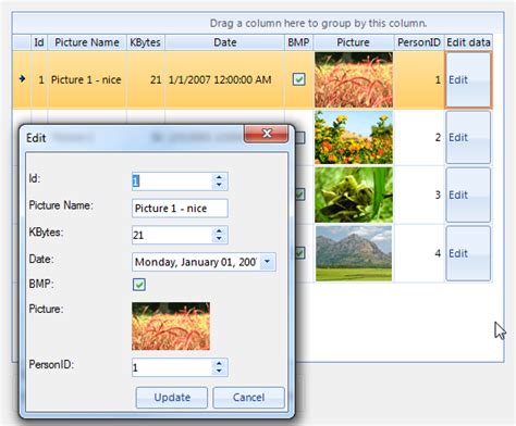 custom row editor for radgridview in ui for winforms gridview telerik