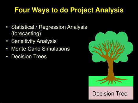 Project Analysis Decision Making Ppt Download