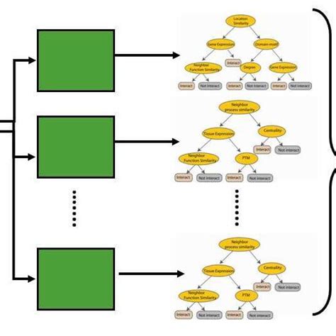 classifier based on decision trees download scientific diagram