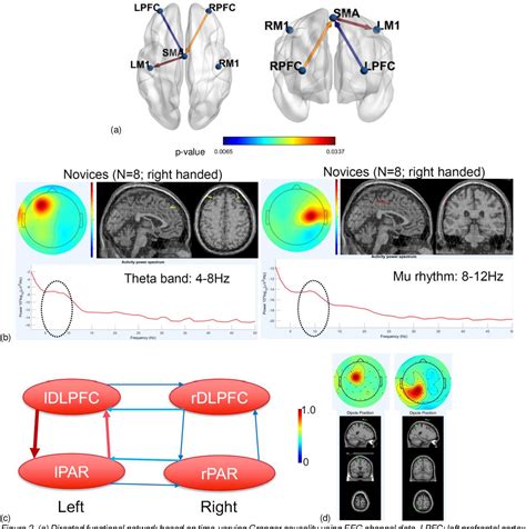 Figure 1 From Dynamic Causal Modeling For Eeg During Complex