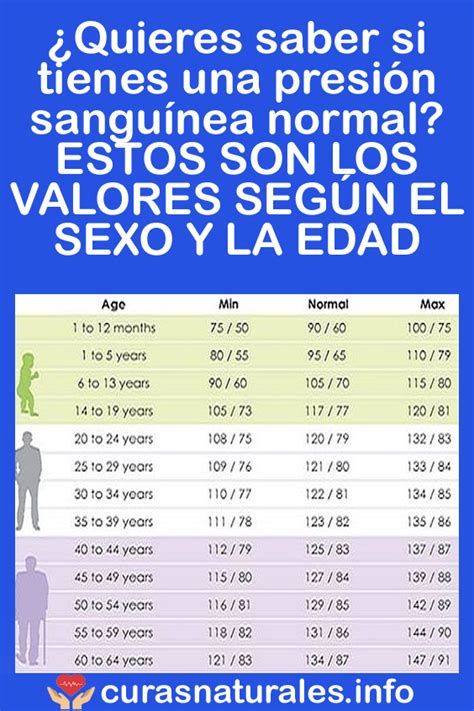 ¿quieres Saber Si Tienes Una Presión Sanguínea Normal Estos Son Los