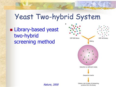 Ppt Introduction Powerpoint Presentation Free Download Id 6374834