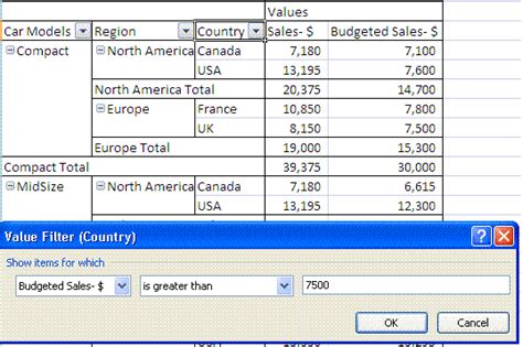 excel pivot tables filter data items values and dates