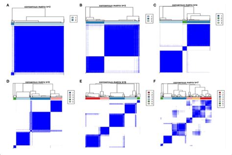 consensus matrix heatmaps of consensus k means clustering consensus