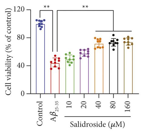 Cell Viability Analysis And Cell Morphology Observation Of Ht22 Cells