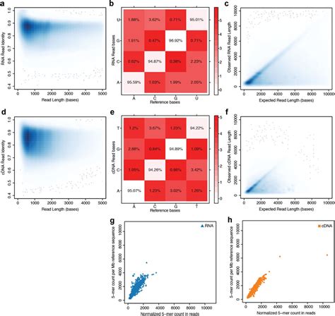 Nanopore Native Rna Sequencing Of A Human Poly A Transcriptome Biorxiv