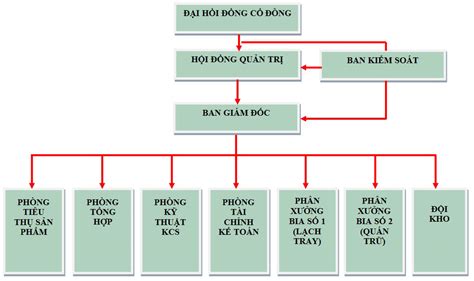 Tham Khảo Các Mẫu Sơ đồ Tổ Chức Công Ty Công Ty Hóa Chất Hanimex