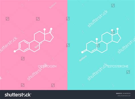 Testosterone Oestrogen Molecula Structure Blue Pink Vetor Stock Livre