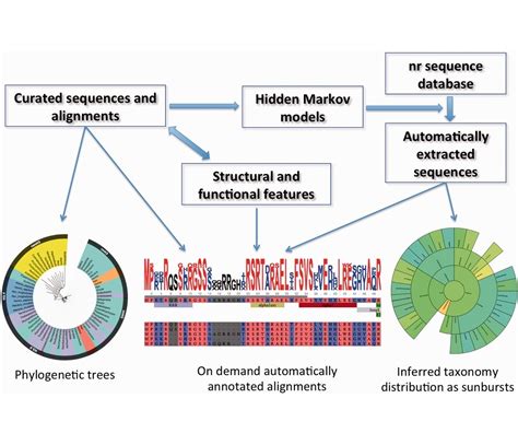 Structural Bioinformatics