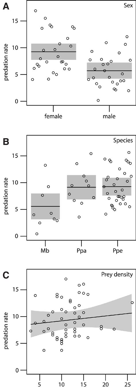 Visualization Of The Averaged Model In Which The Grey Areas Repa