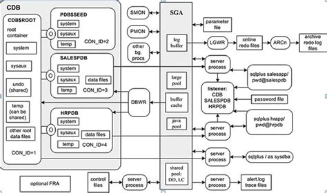 oracle 12c multitenant architecture dbaclass dbaclass