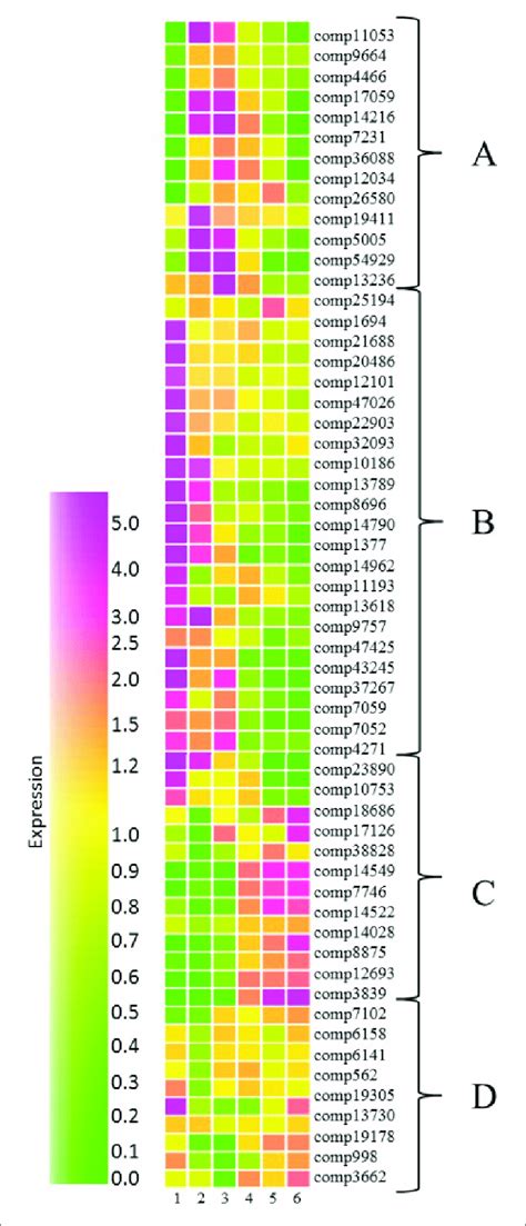 Relative Abundance Of Transcripts Encoding Putative Transcription