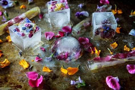 How To Make Edible Flower Ice Cubes Heather Christo