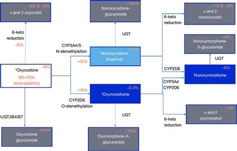 Oxycodone Metabolic Pathways Reference Oxycodone